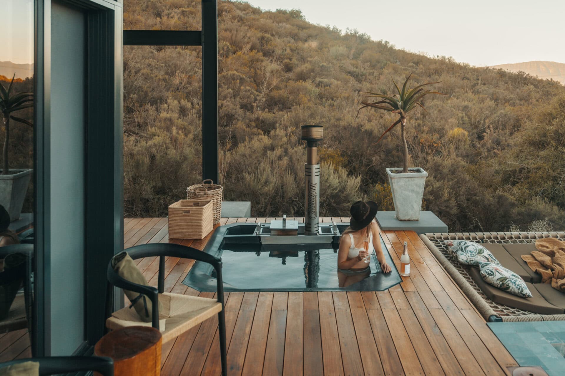 Renosterbos | Bonnievale
